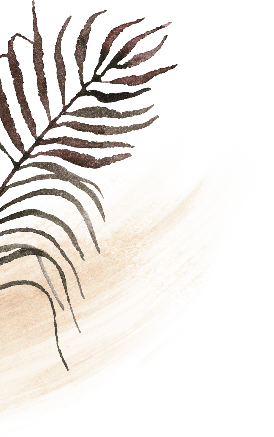 Return to the wild - Mitgliederbereich